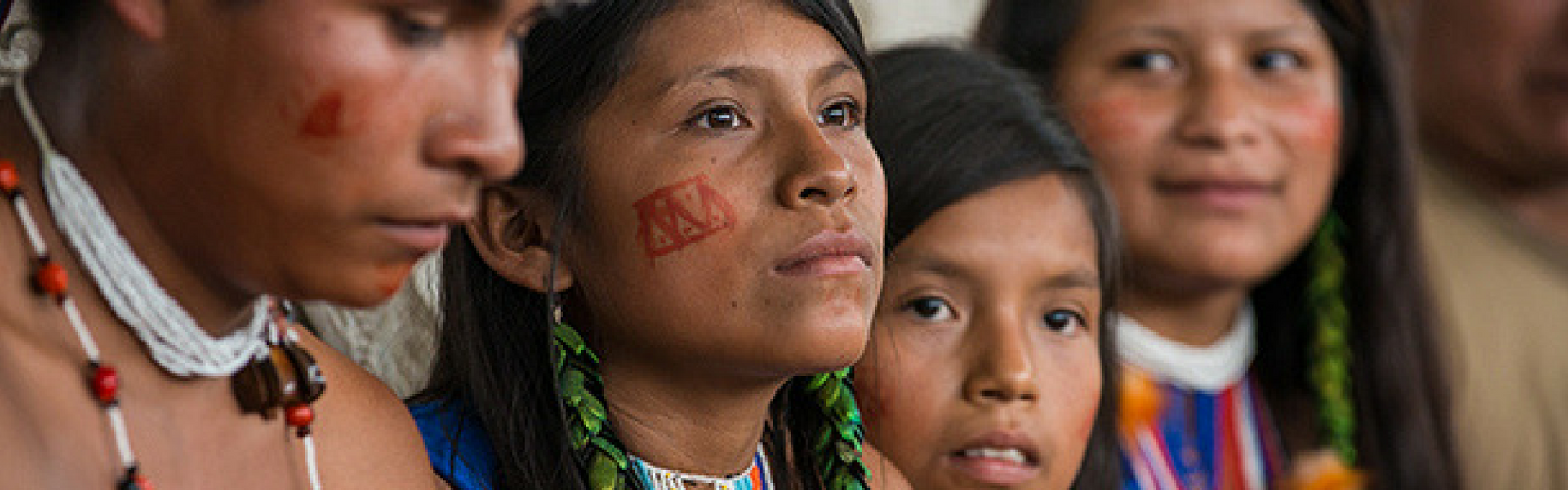 indigenous (1) | Global Greengrants Fund