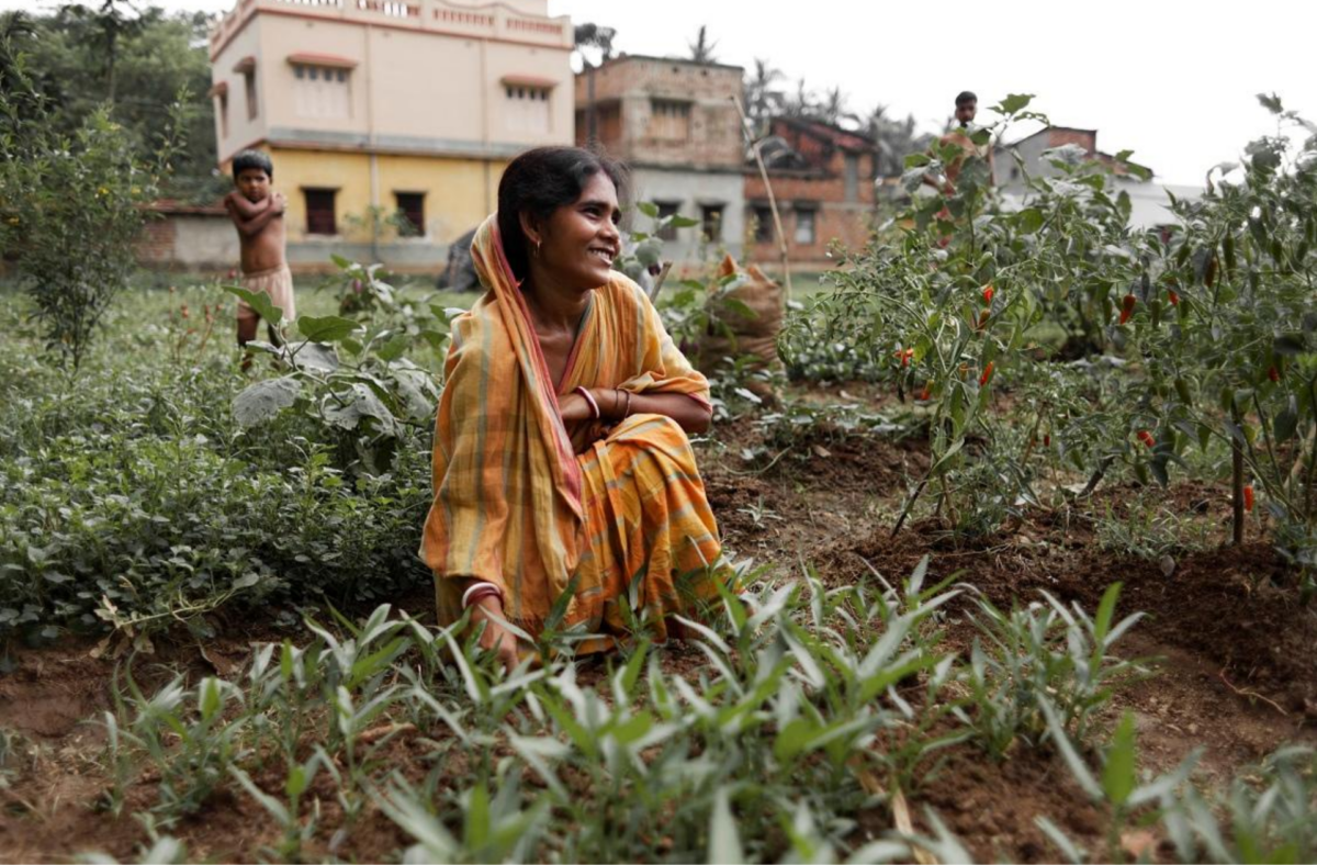 Food Sovereignty: Key to Resilience, Dignity, and the Fight Against ...