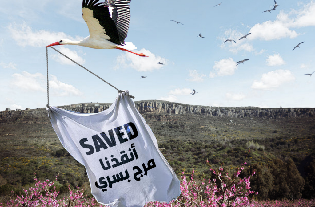 Victory in Lebanon: Bisri Valley Dam Canceled | Global Greengrants Fund