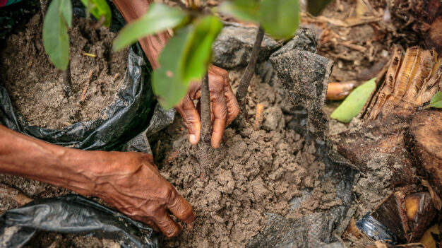 Global Greengrants Fund