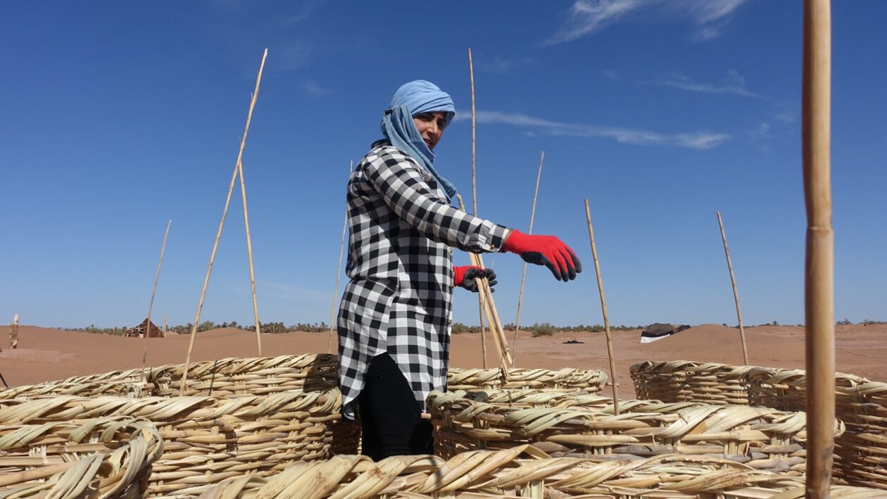 Global Greengrants Fund