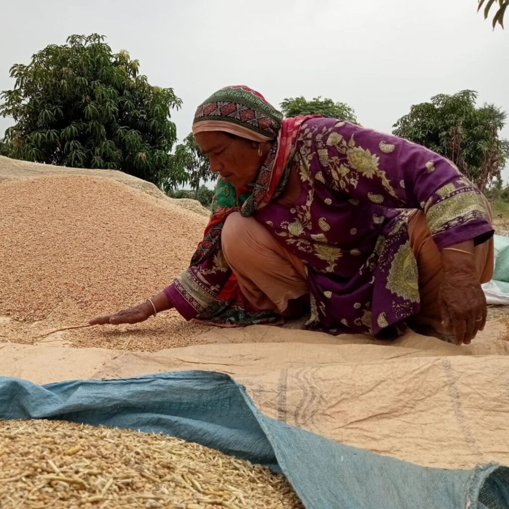 Blog | Global Greengrants Fund