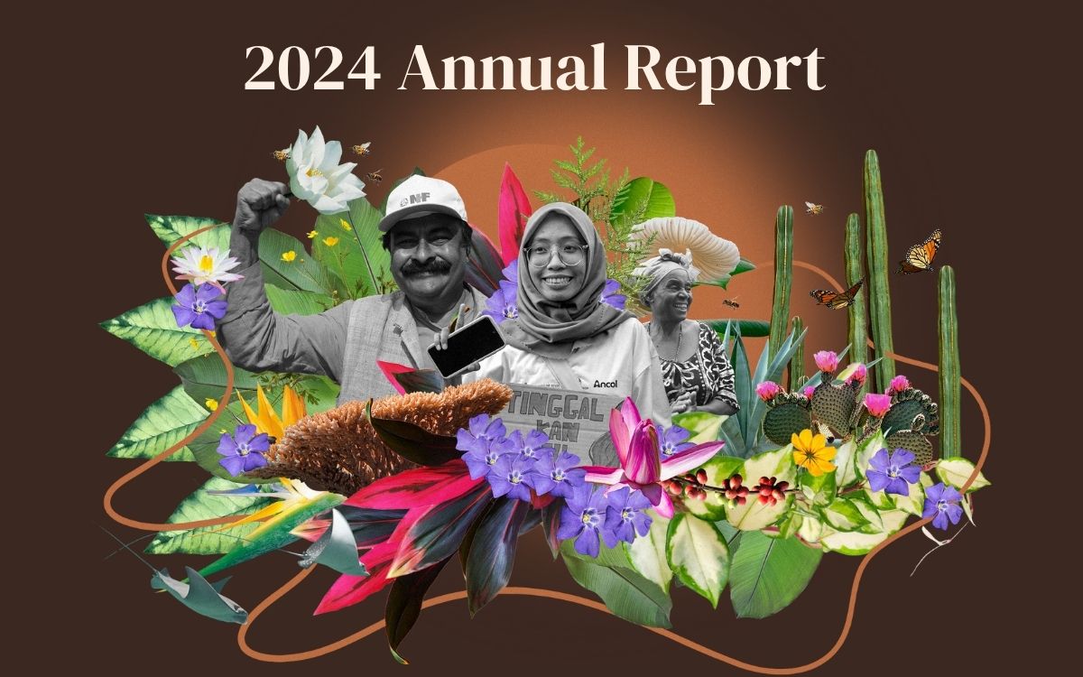 FY24 Annual Report Email Launch Header (2) | Global Greengrants Fund